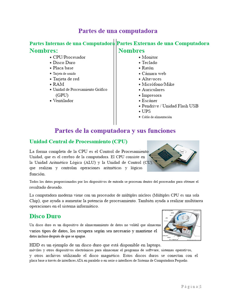 Partes Esenciales de una Computadora | PDF | Escáner de imagen ...