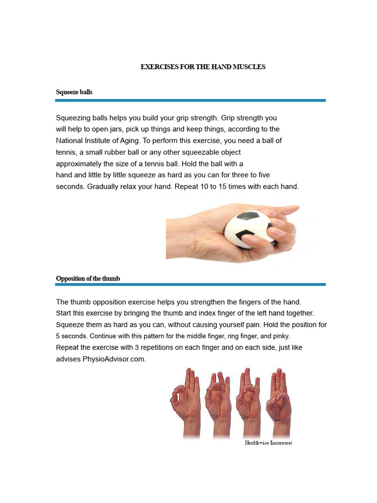 Hand and Forearm Strengthening Exercises | PDF | Anatomical Terms Of ...