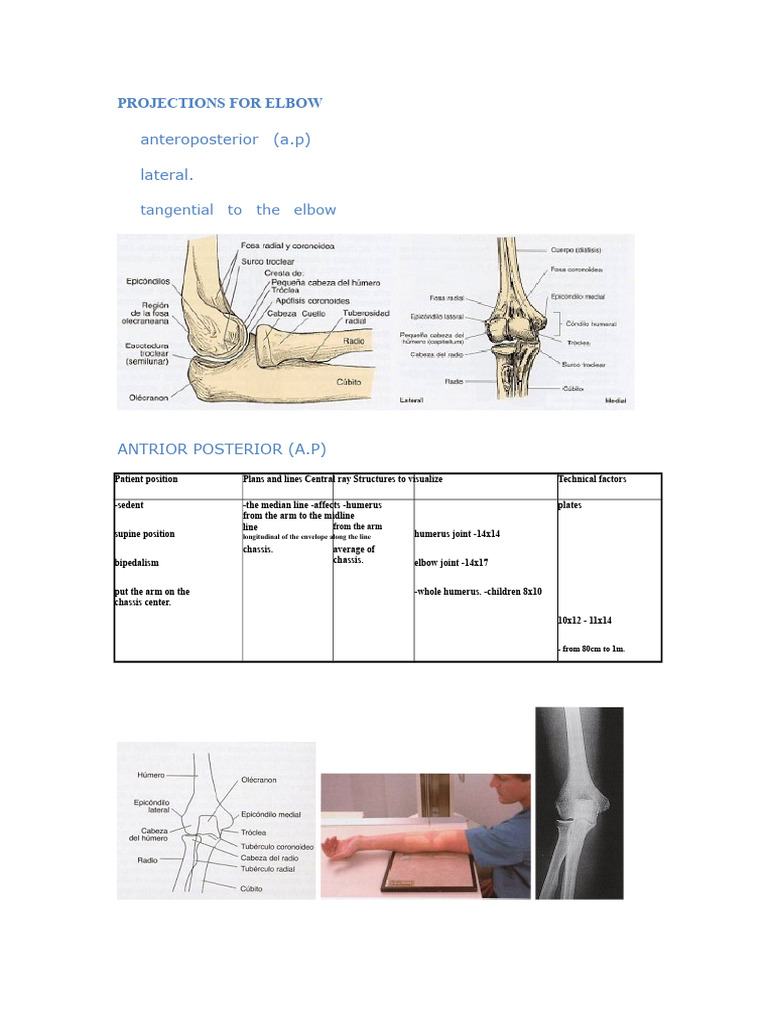 Elbow X-Ray Projection Techniques | PDF | Elbow | Anatomical Terms Of ...