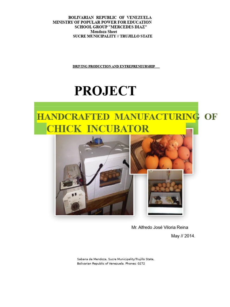 Chicken Incubator Project | PDF