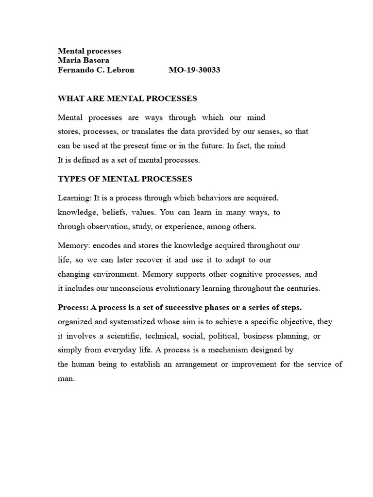 What Are Mental Processes | PDF