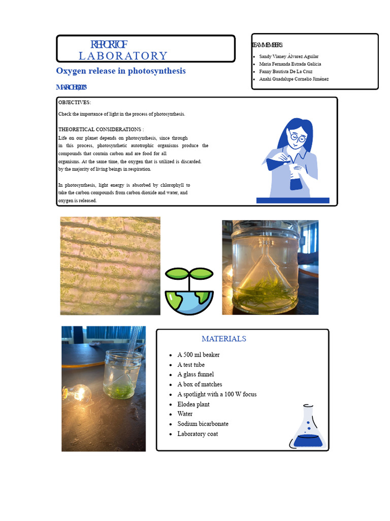Oxygen Release in Photosynthesis Experiment | PDF | Photosynthesis | Oxygen