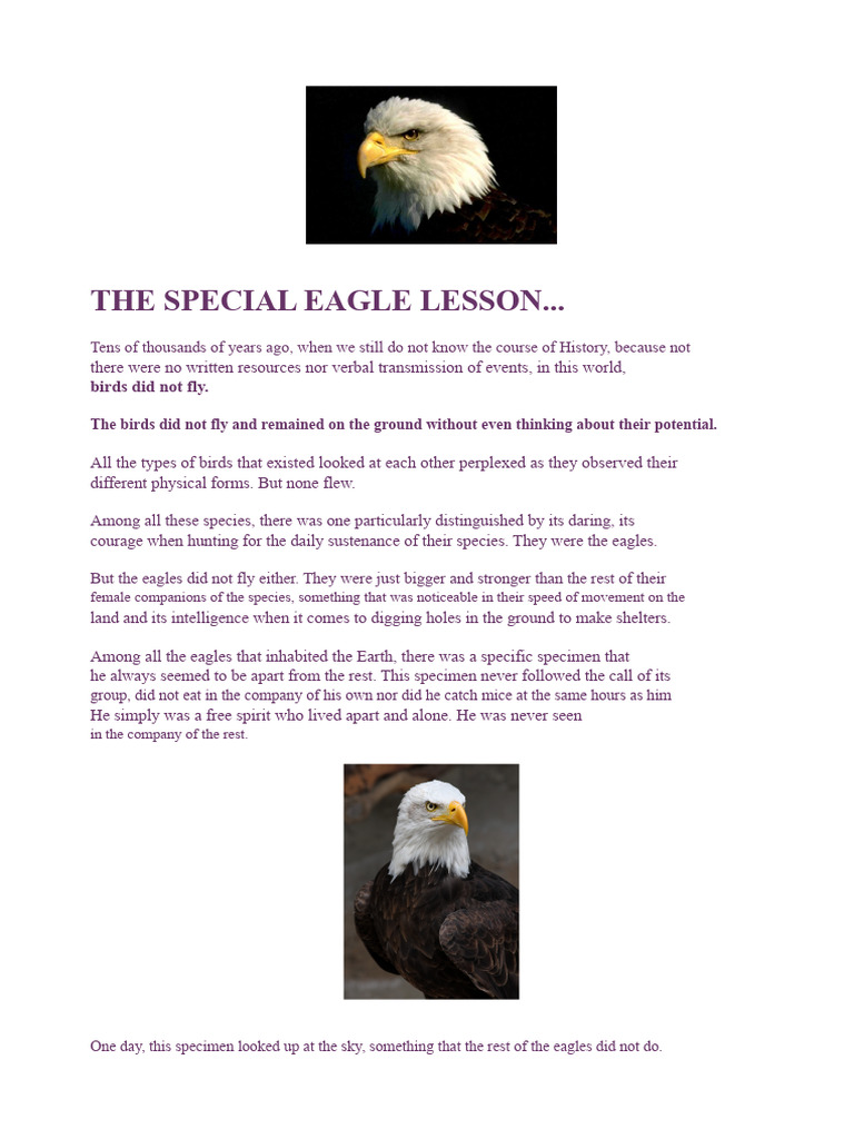 The Lesson of The Special Eagle | PDF