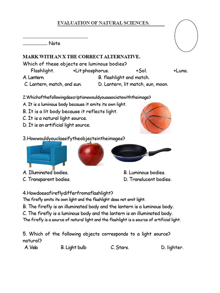 Questionnaire On Luminous Bodies | PDF | Light | Reflection (Physics)