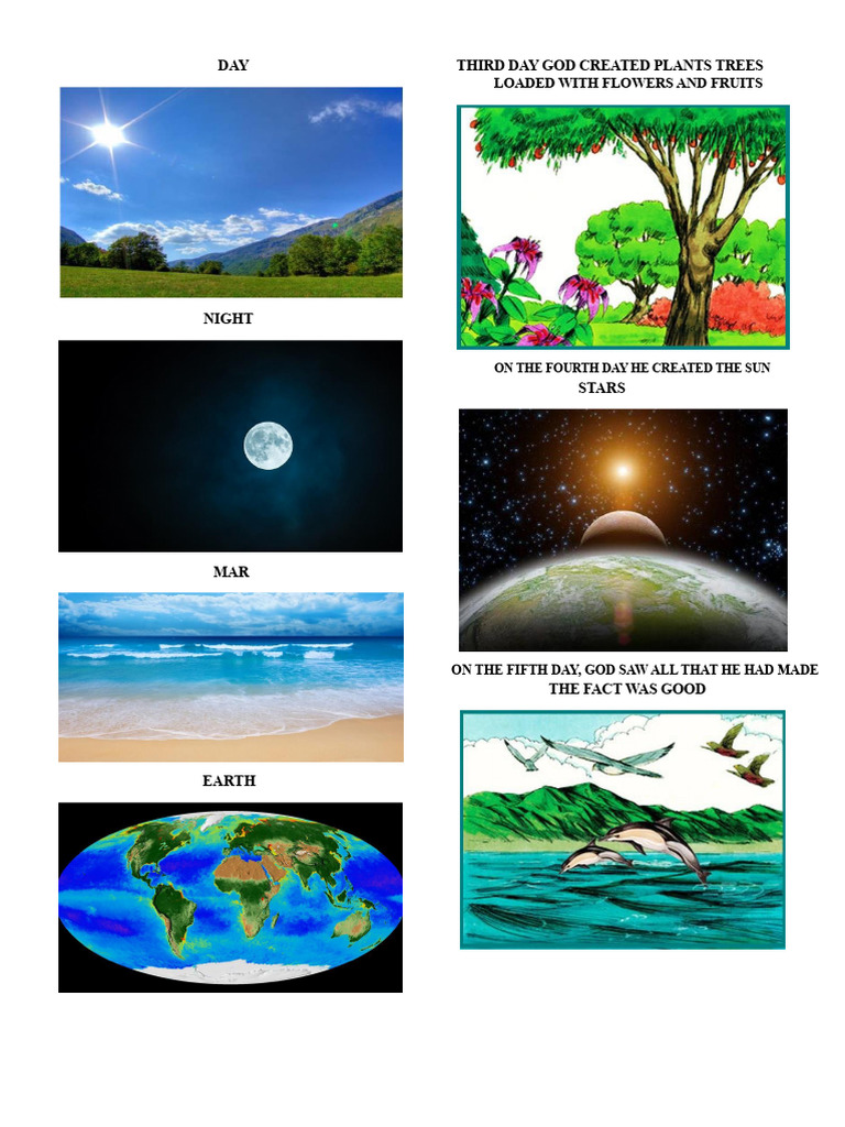 Illustrations The Creation | PDF