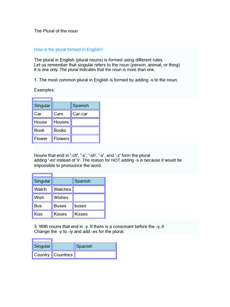 English Plural and Adjective Rules | PDF | Plural | English Language