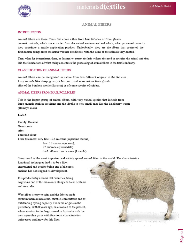 Animal Fibers | PDF | Silk | Wool