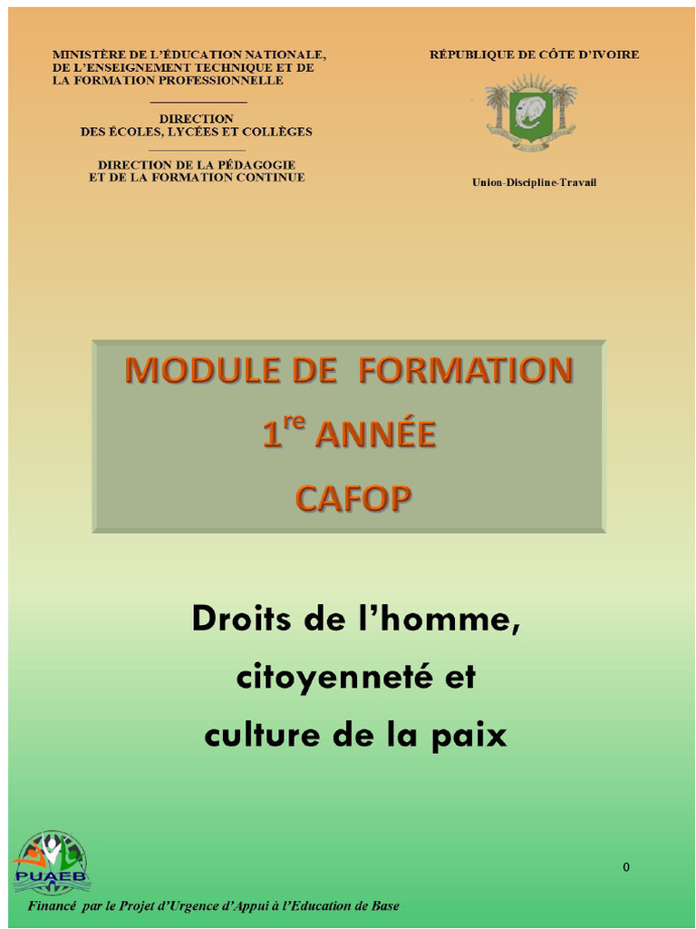 Human Rights and Peace Education Module | PDF | Democracy | Political ...