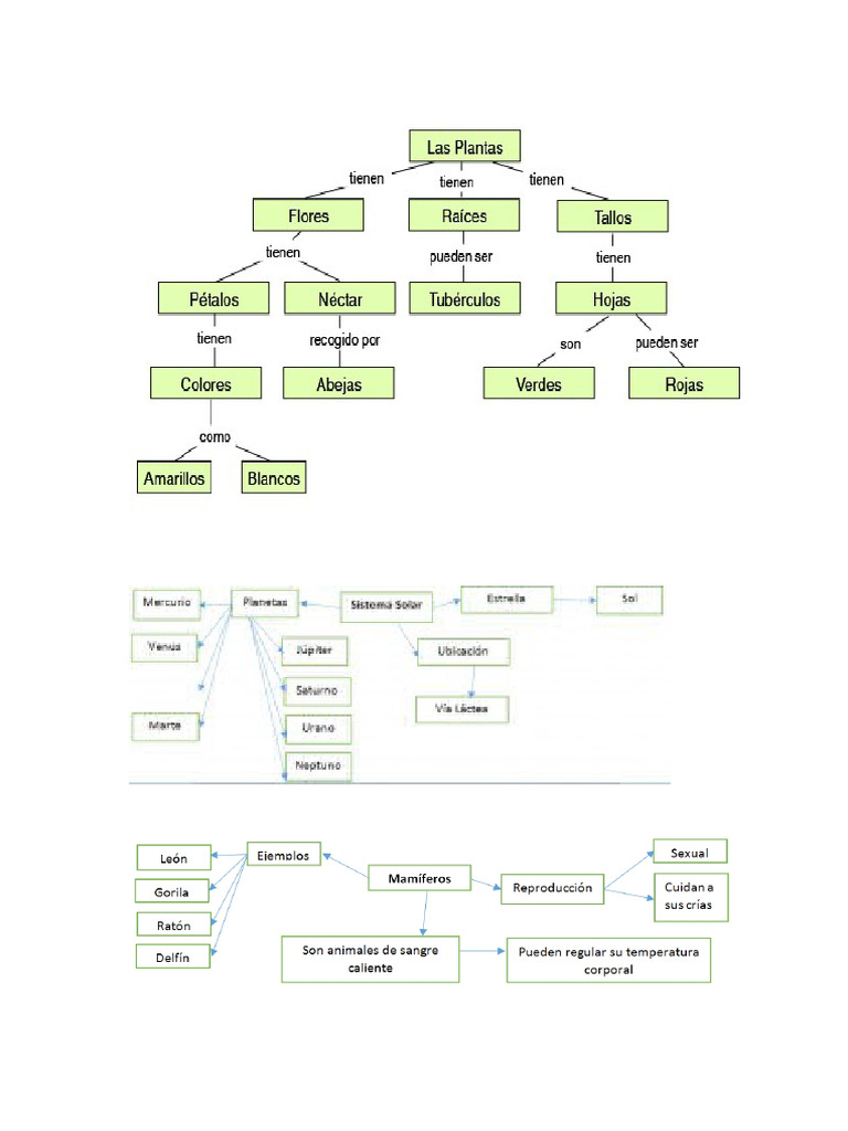 Types of Semantic Maps Explained | PDF | Matrix (Mathematics) | Semantics
