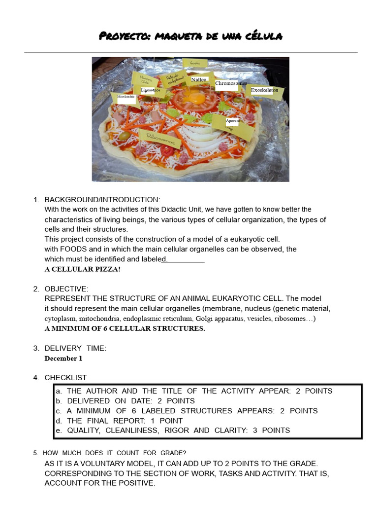 Cellular Model Edible Cellular Pizza | PDF | Cell (Biology) | Eukaryotes