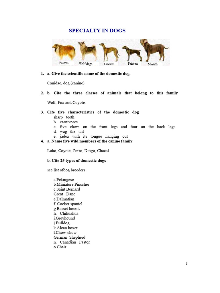 Canine Family Characteristics and Breeds | PDF | Dogs | Dog Breeds