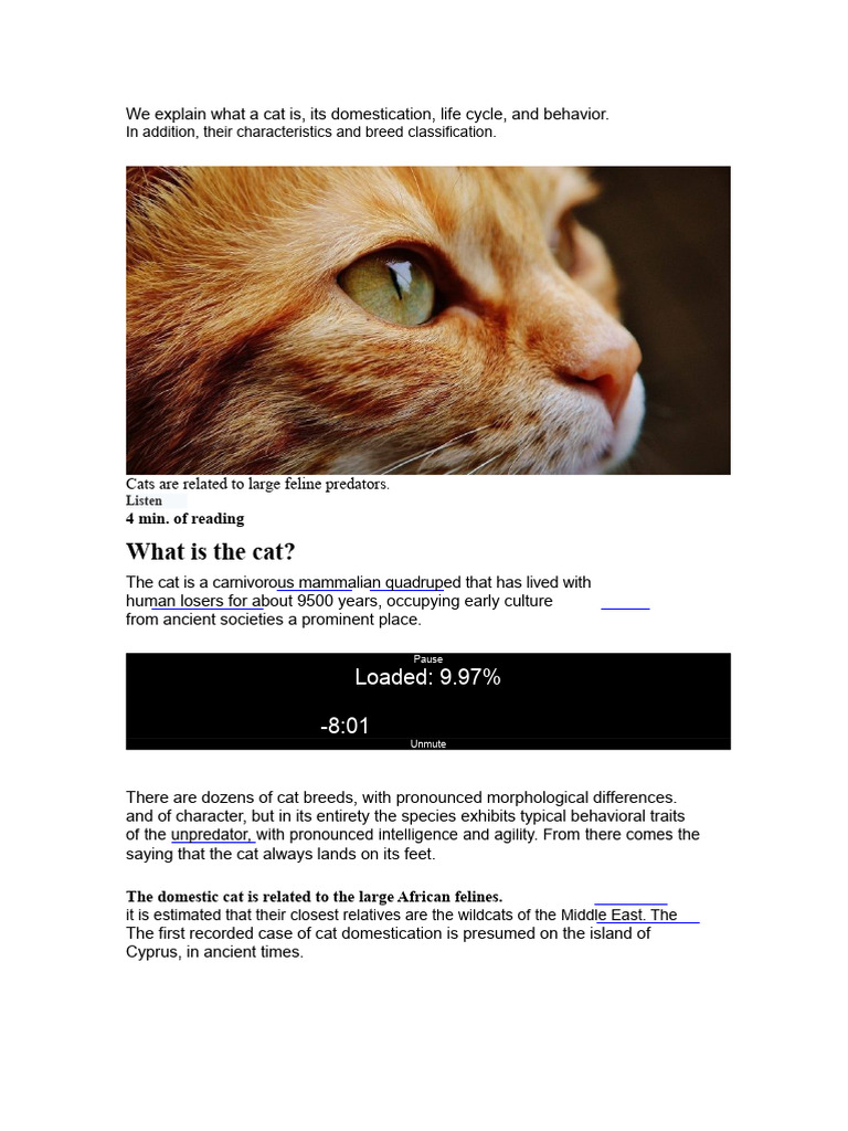 We Explain What A Cat Is Final Report | PDF | Cats | Domestication
