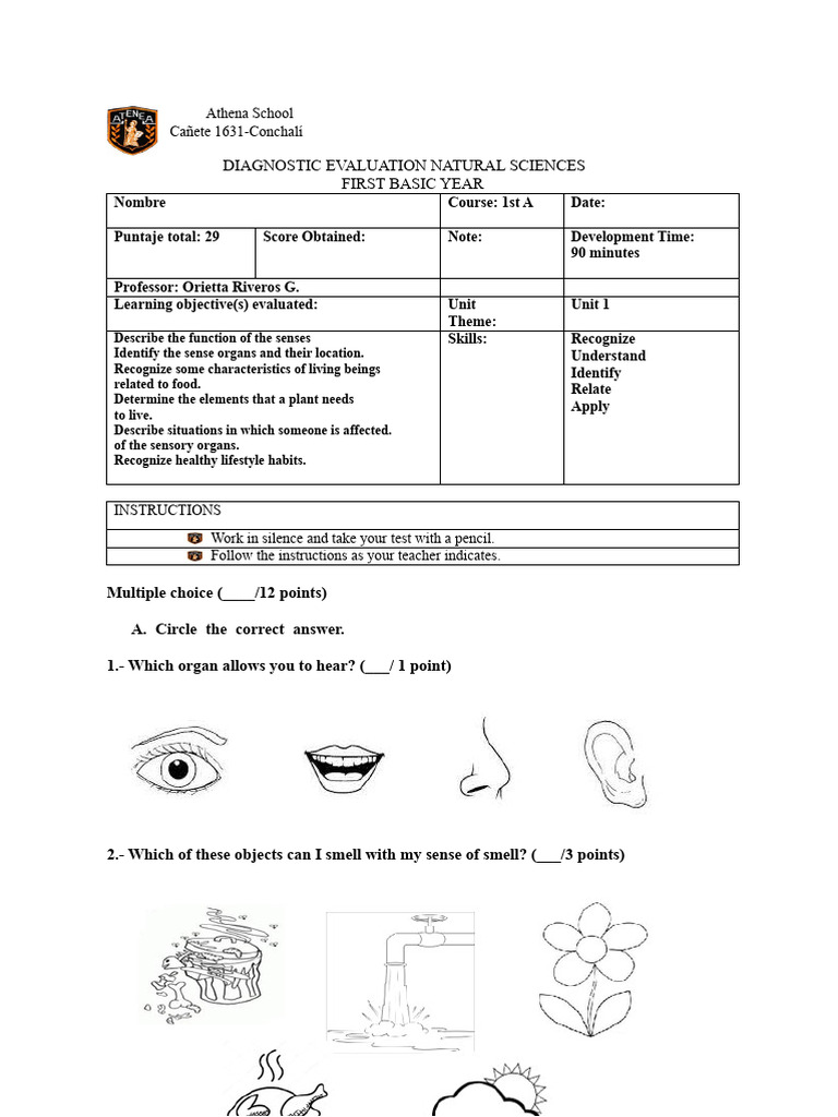 Diagnostic Evaluation: Natural Sciences | PDF