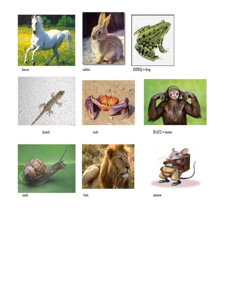 Animals in Kaqchikel | PDF