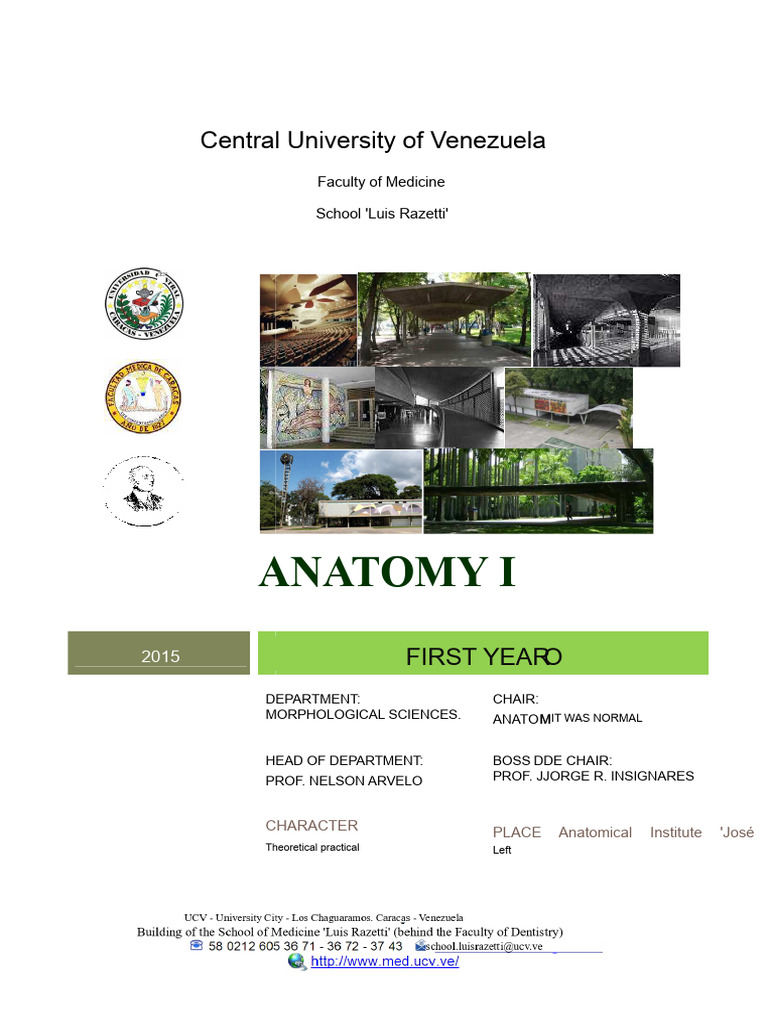 Anatomy I Course Overview UCV | PDF | Human Leg | Hand