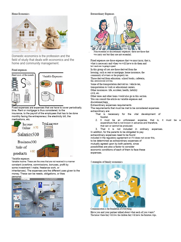 Home Economics | PDF | Expense | Lighting