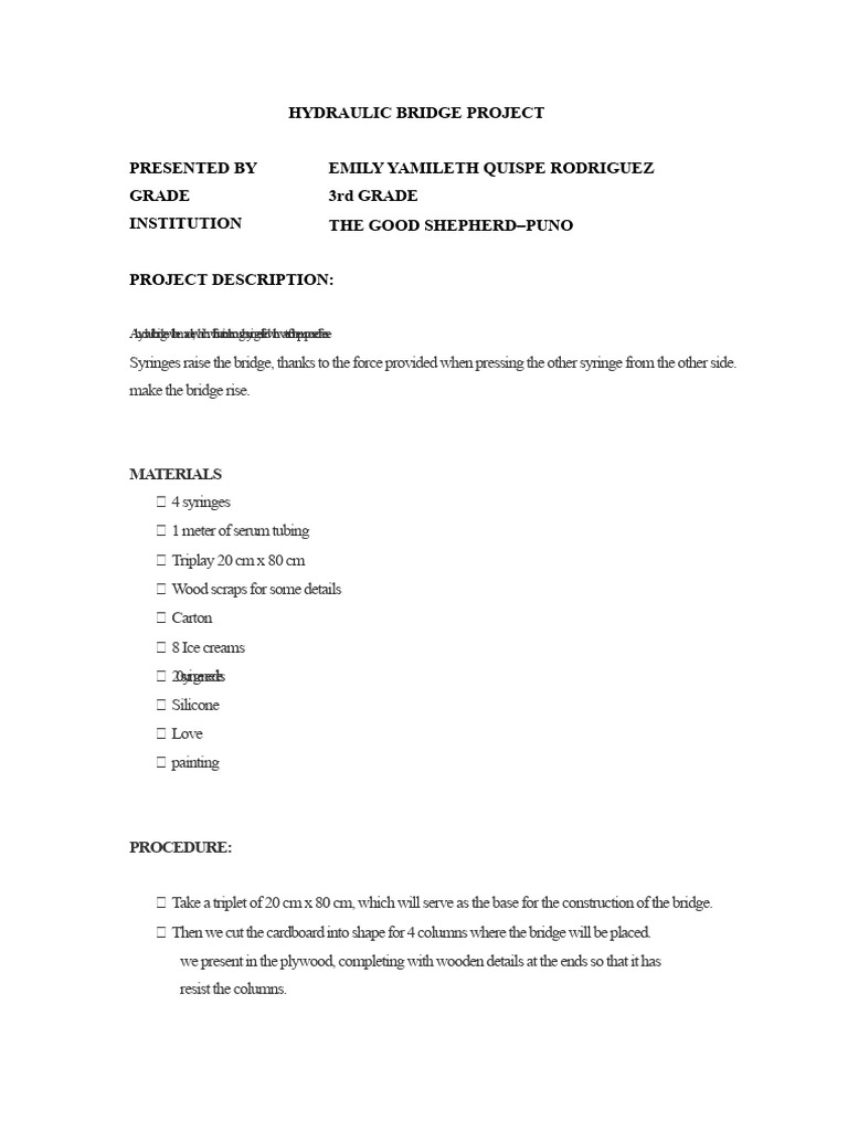 Hydraulic Bridge Project | PDF | Syringe