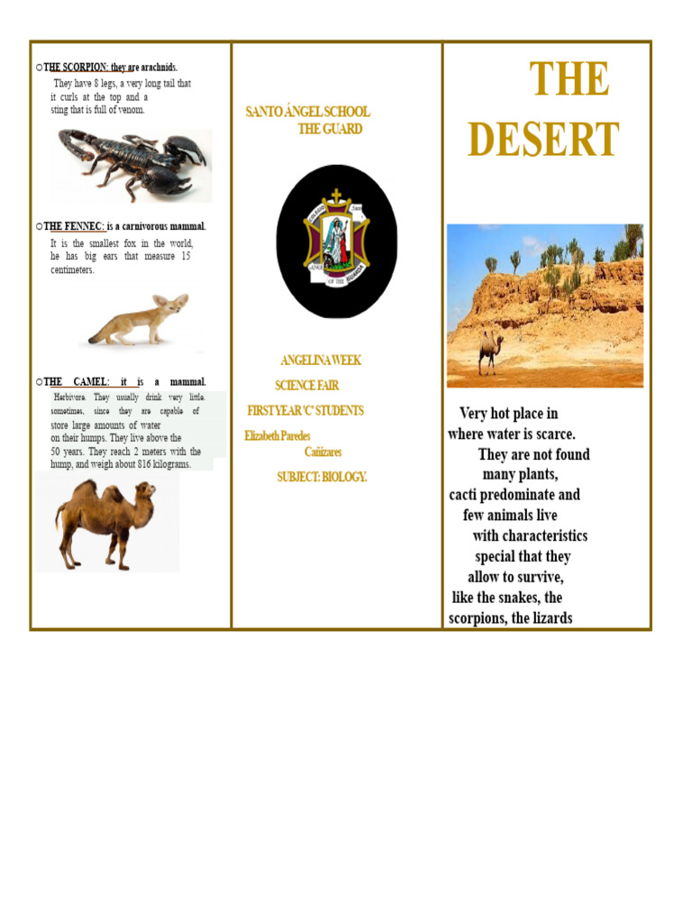 Desert Ecosystem: Flora and Fauna Overview | PDF | Desert | Lizard