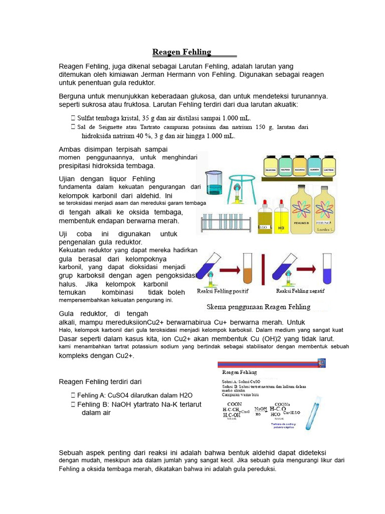 Reagen Fehling untuk Deteksi Gula Reduktor | PDF