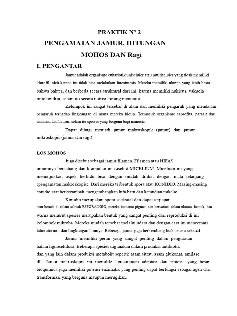 Praktik N2: Observasi Jamur, Perhitungan Jamur Khamir Dan Ragi | PDF