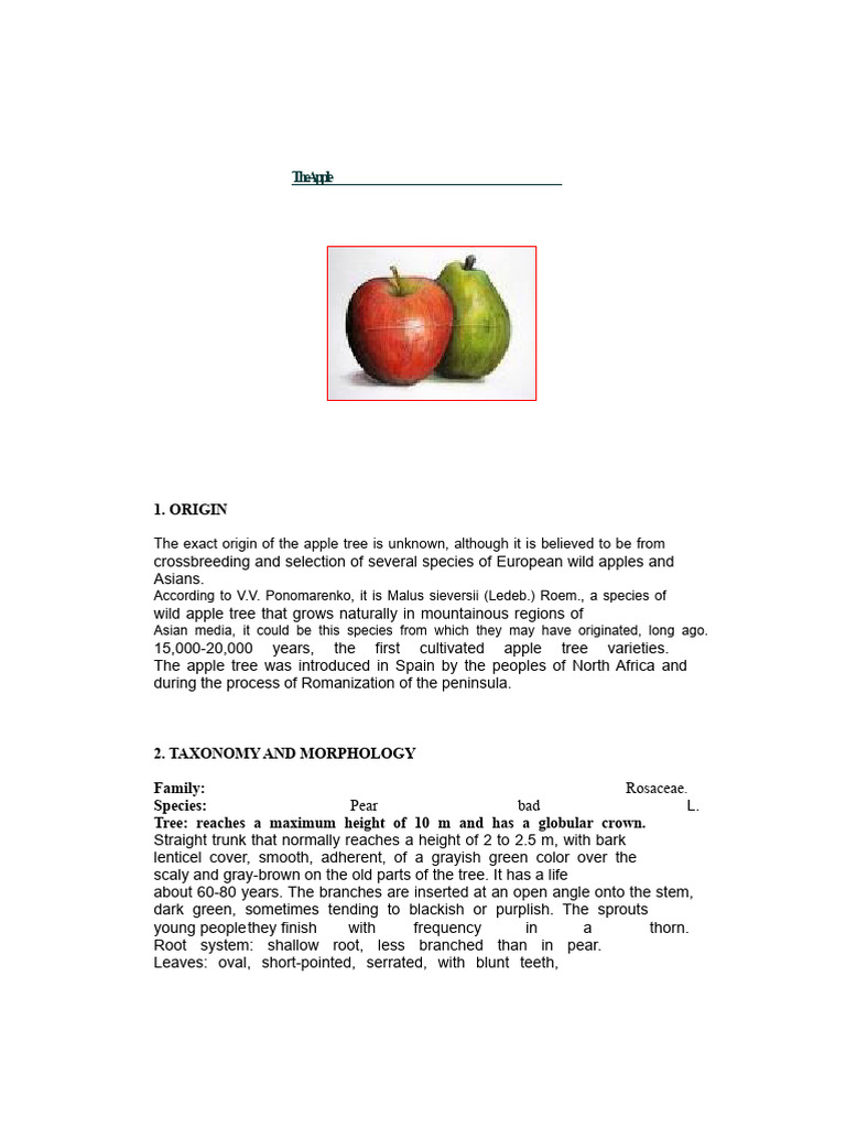 Apple Tree: Origin, Varieties, and Cultivation | PDF | Apple | Trees