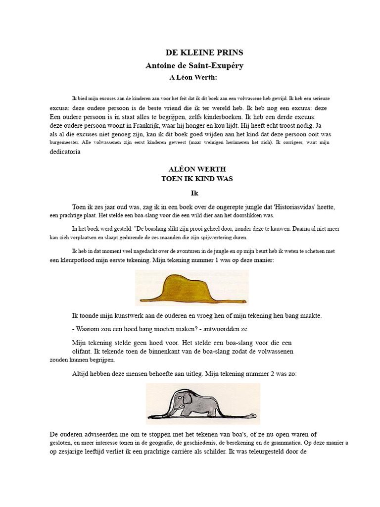 De Kleine Prins | PDF