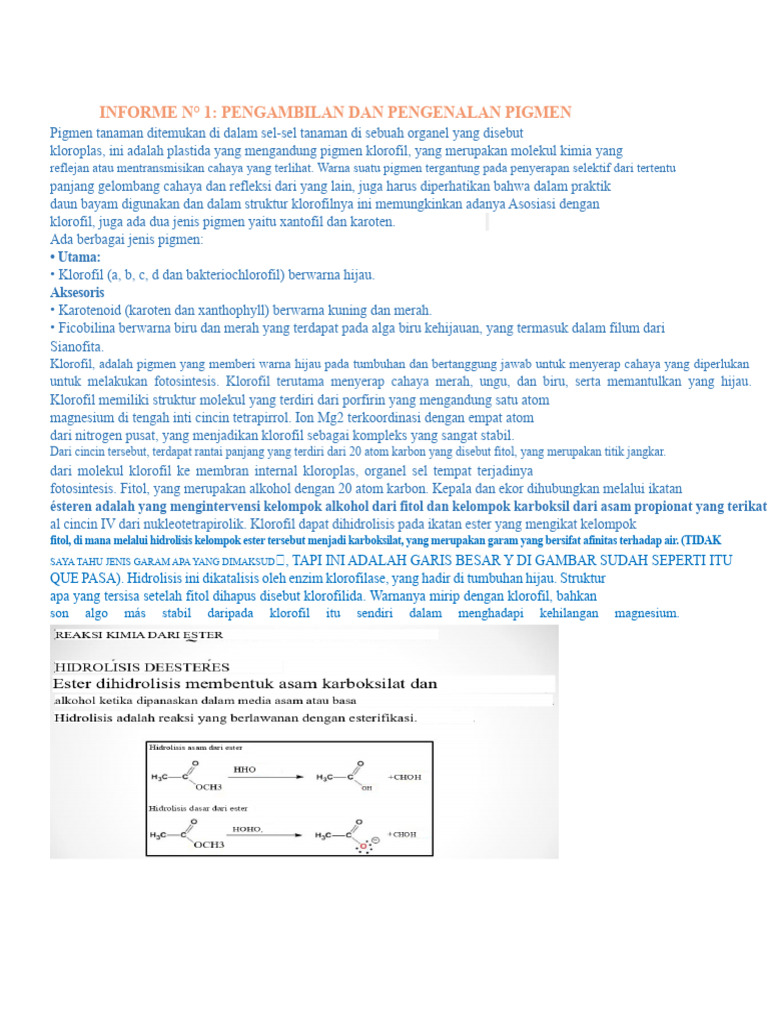 KLOROFIL | PDF