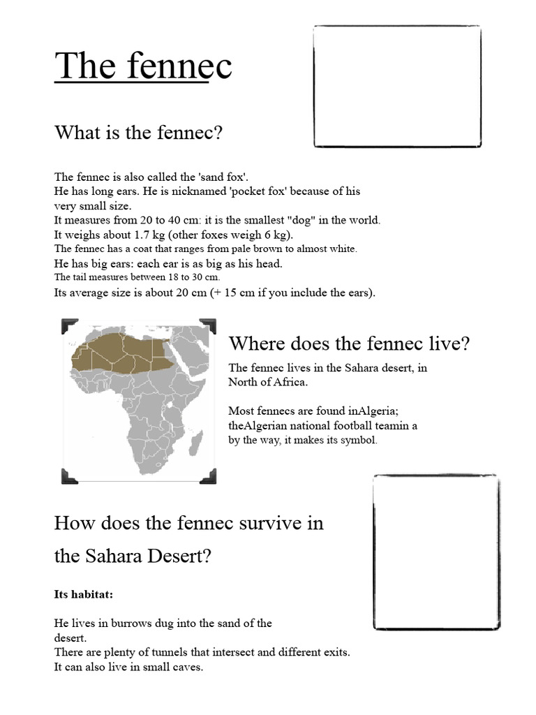 The Fennec | PDF | Zoology