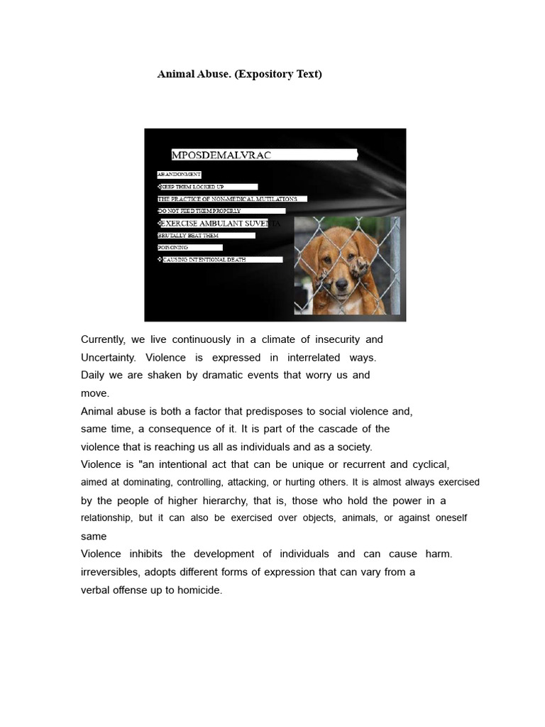 Animal Abuse | PDF