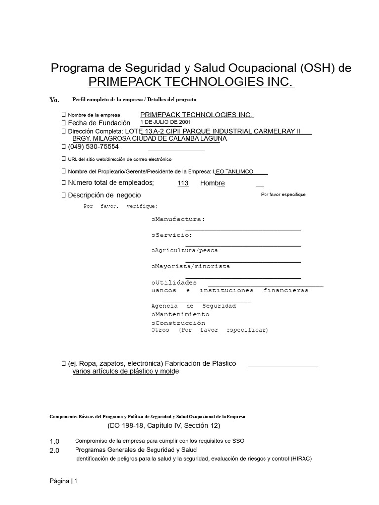 Plantilla de Programa de Seguridad y Salud Ocupacional (RA 11058) | PDF ...