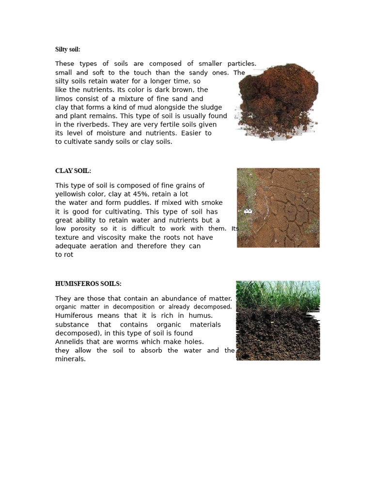 Types of Soils | PDF