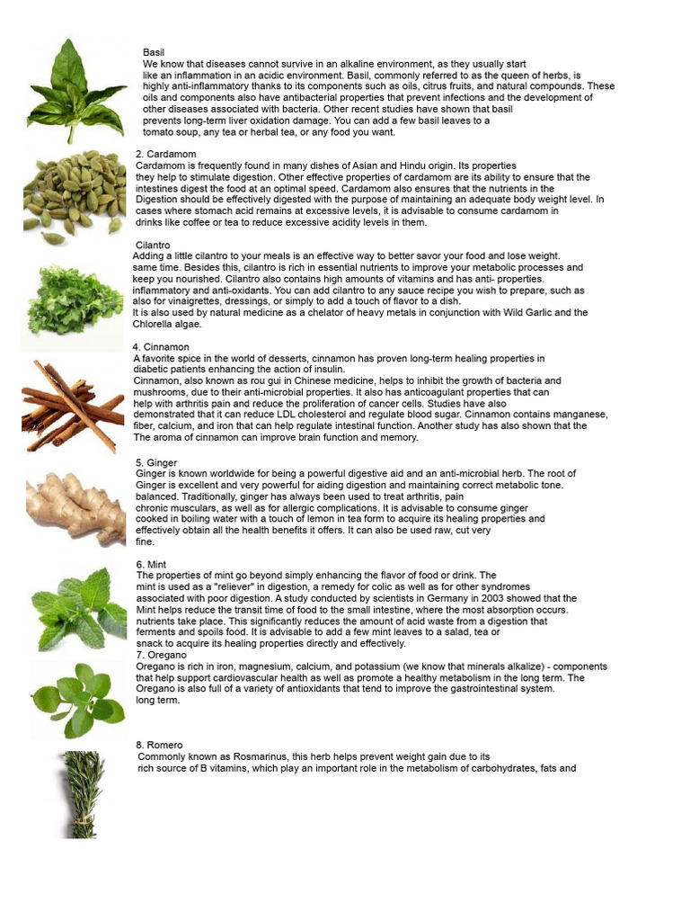 10 Medicinal Plants and Their Uses | PDF | Foods | Ginger