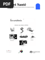 i71coutin | PDF | Moustique