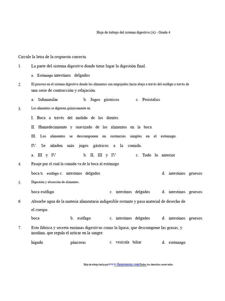 Hoja de trabajo sistema digestivo 4º grado | PDF | Sistema digestivo ...