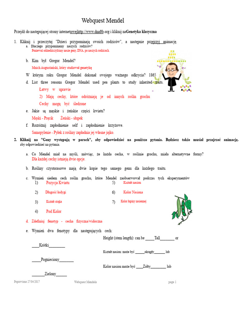 Mendel Webquest KRÓTKI KLUCZ | PDF