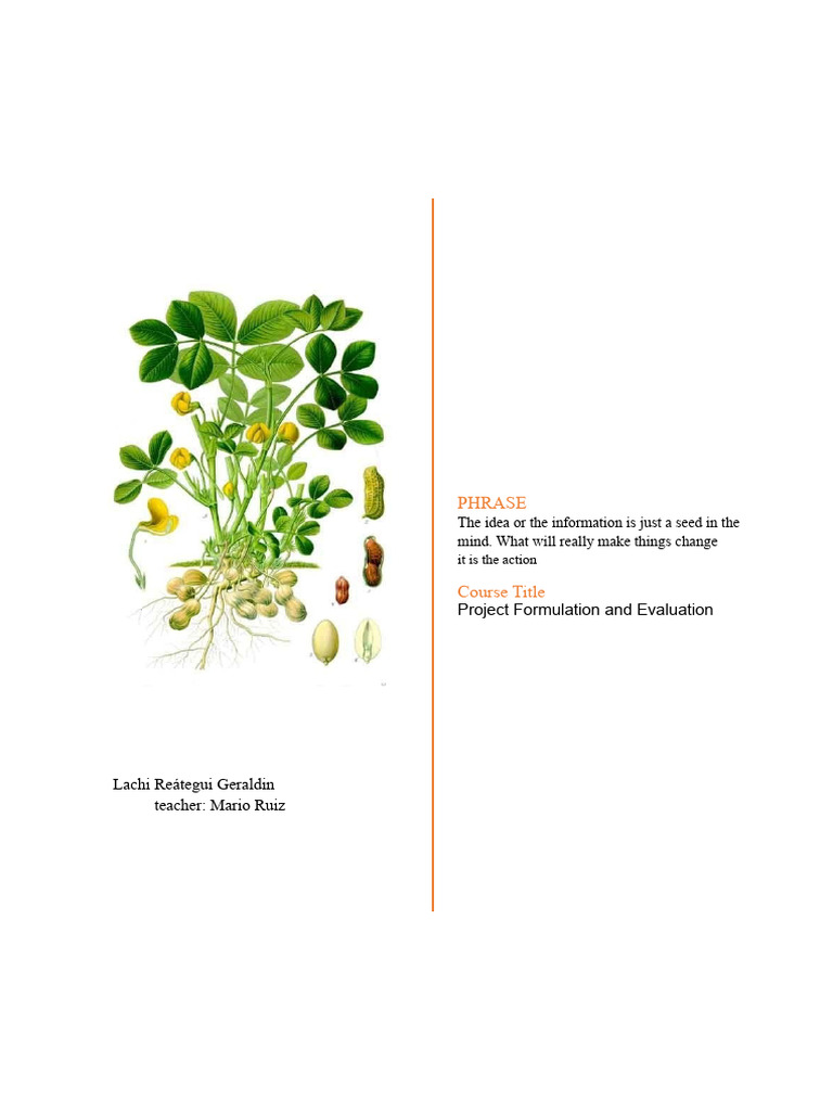 Peanut Project | PDF | Peanuts | Agriculture