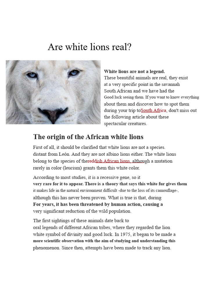 Expository Text | PDF | Lion | Species