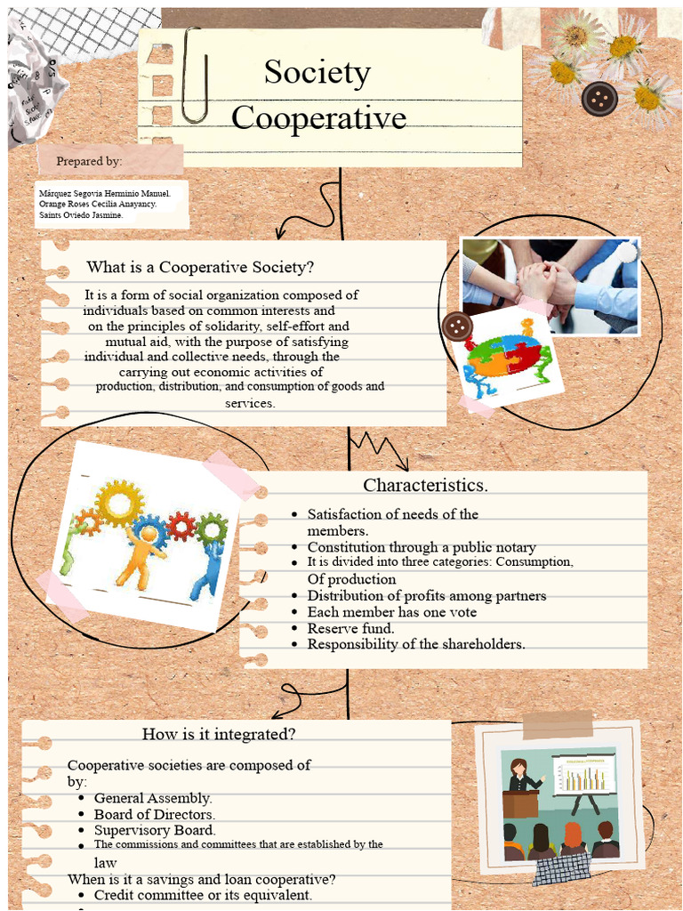 Infographic Cooperative Society | PDF