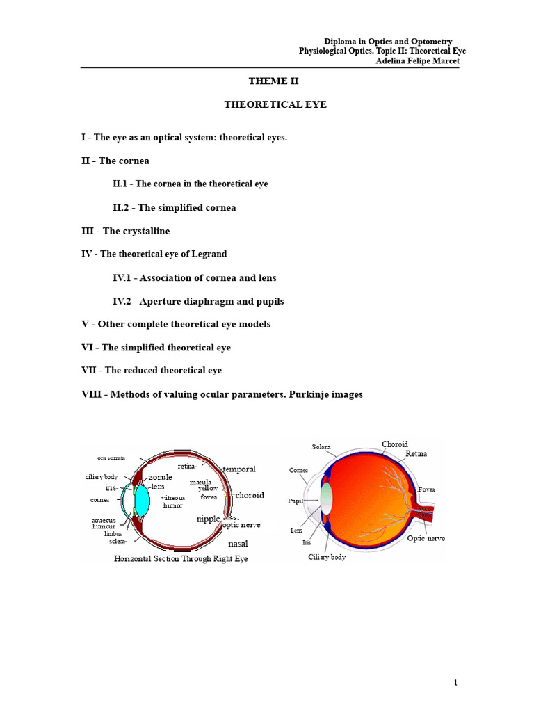 Theoretical Eye Models in Optometry | PDF | Optics | Eye