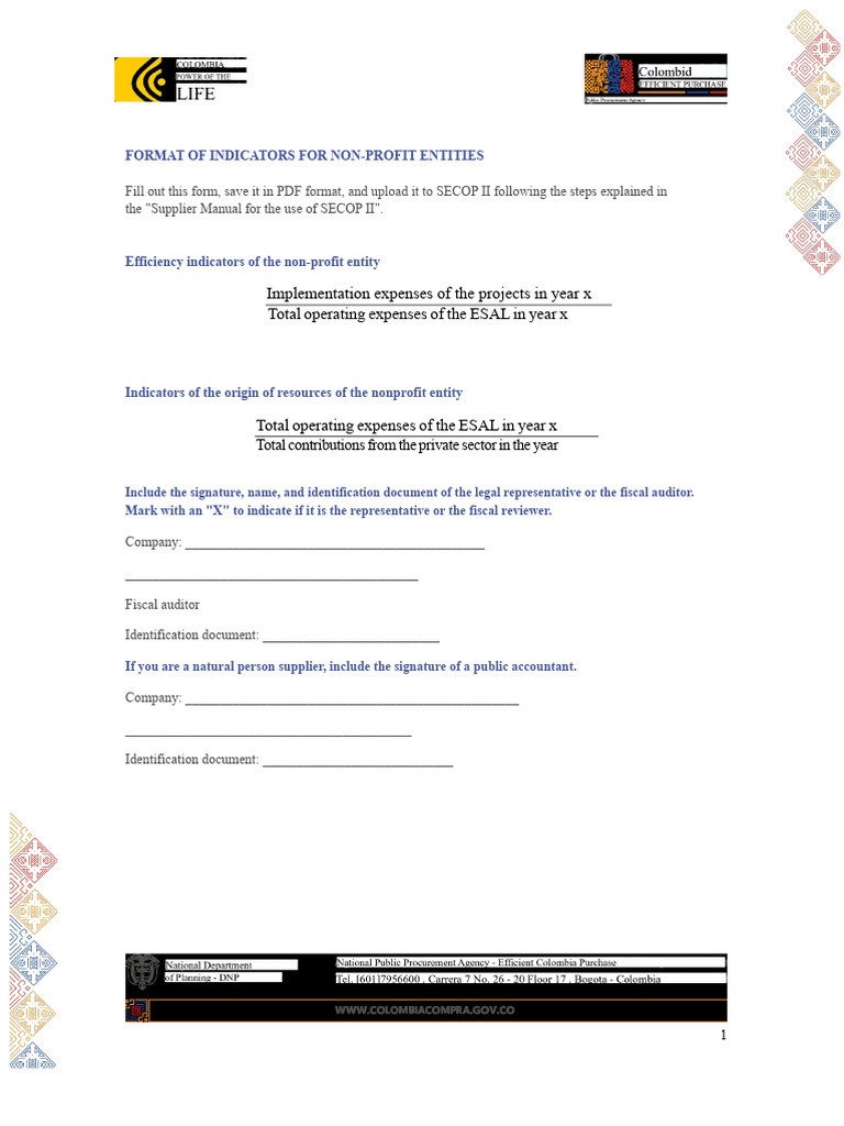 Non-Profit Entity Indicator Format | PDF
