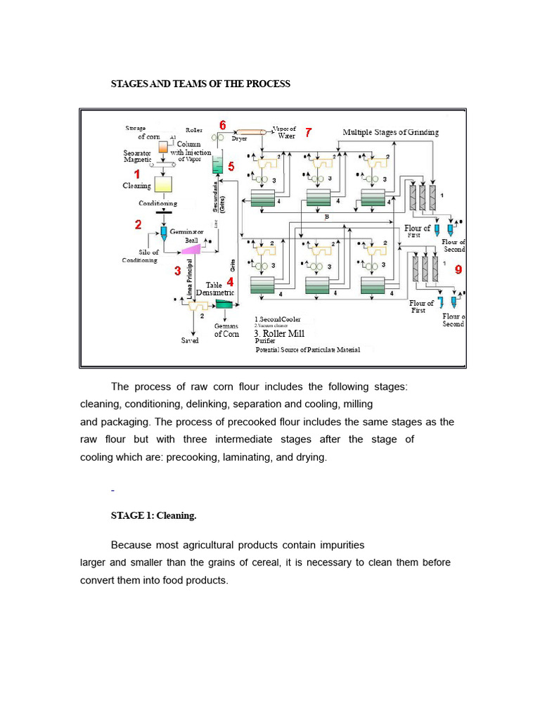 Corn Flour Production Process Stages | PDF | Cereals | Mill (Grinding)