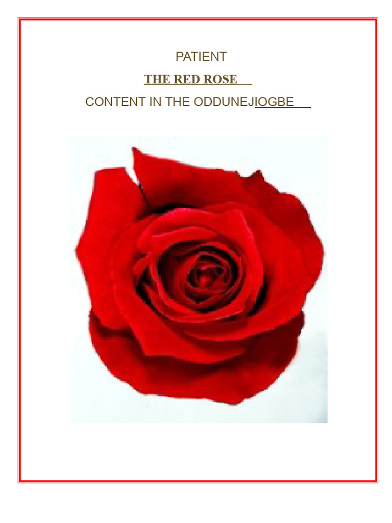 Cake of The Red Rose | PDF
