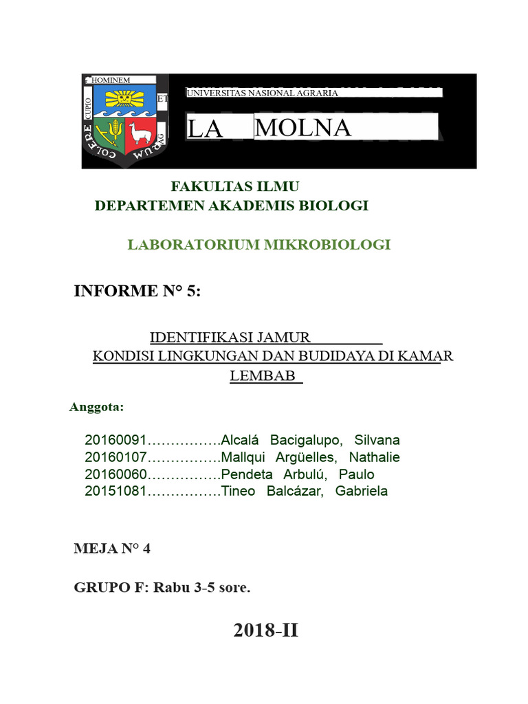 Identifikasi Jamur dalam Kondisi Lembab | PDF