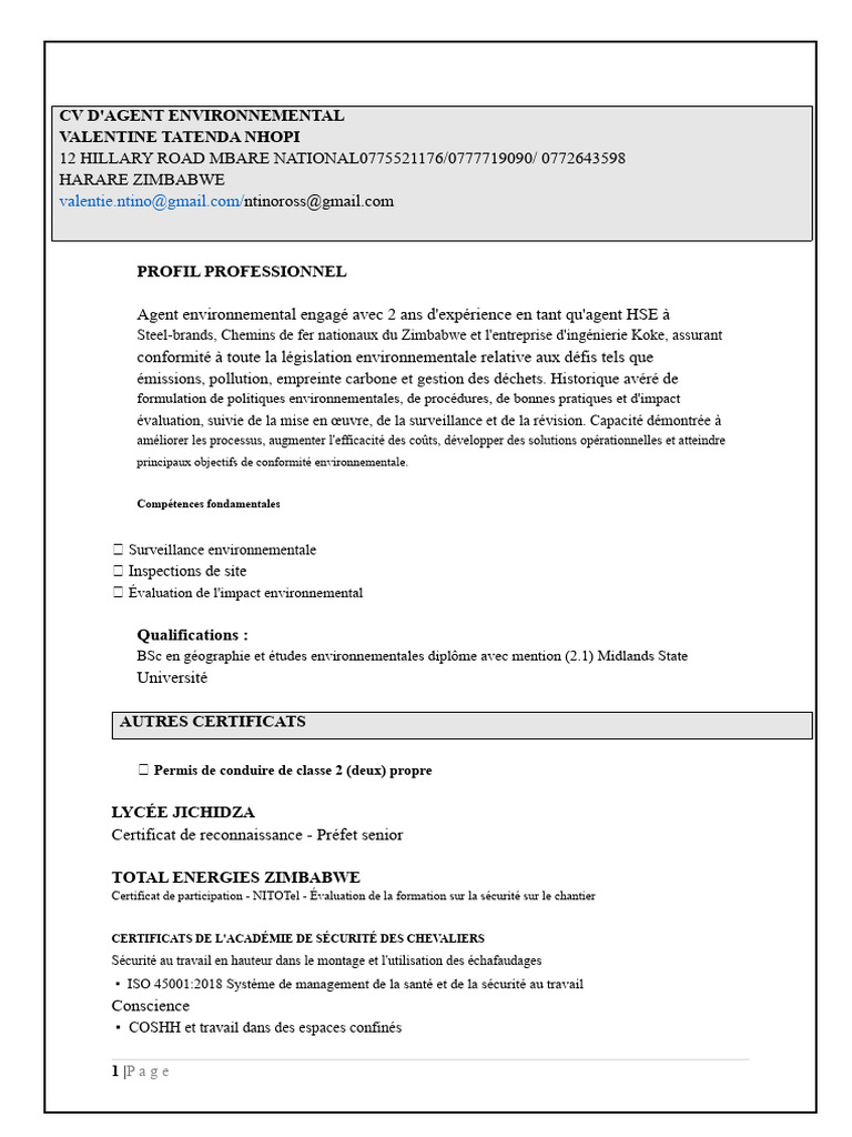 CV Agent Environnemental - Valentine Nhopi | PDF | Sécurité ...