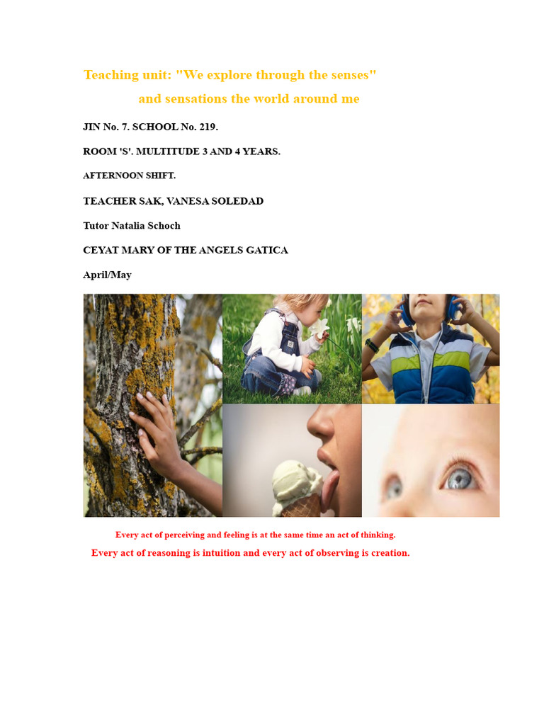Exploring the World Through Senses | PDF | Senses | Perception