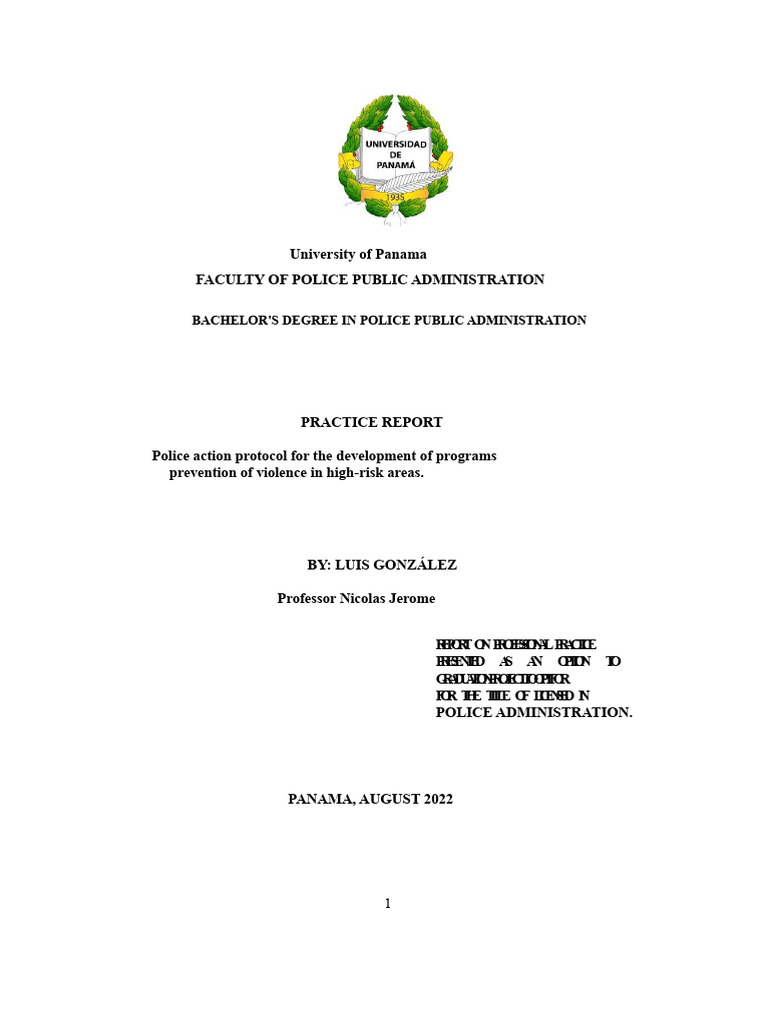 Practical Report - Luis - U.panama | PDF | Violence | Woman