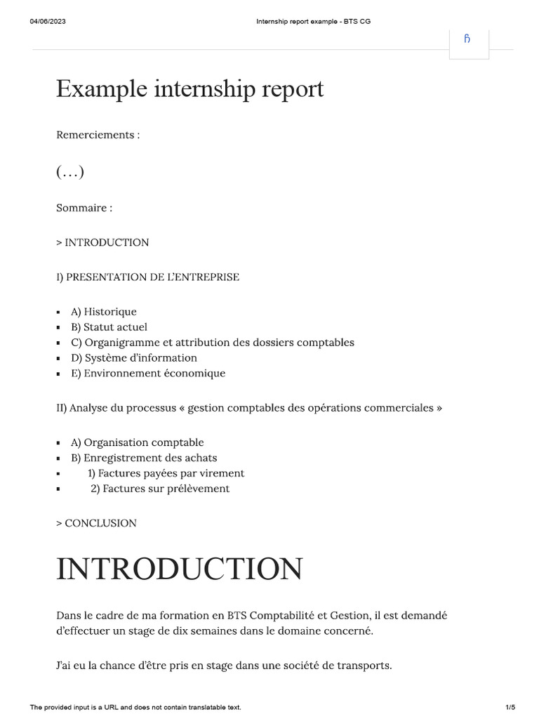 Internship Report Template - BTS CG | PDF