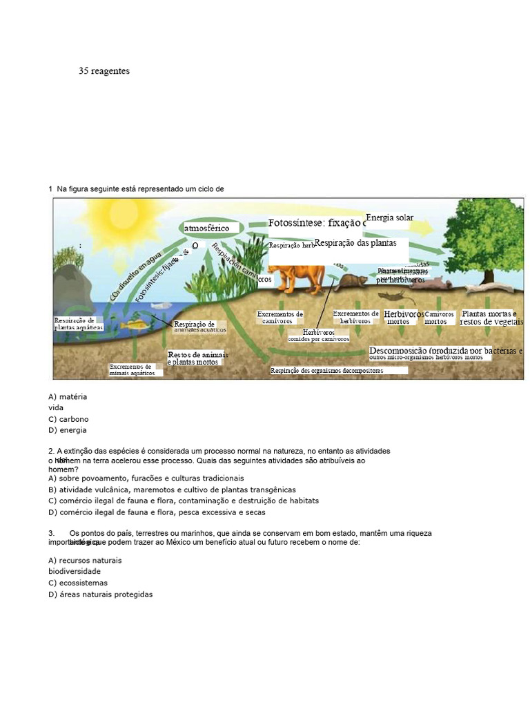 35 Reativos para Exame Biologia Bloco 1 | PDF | Plantas | Biologia