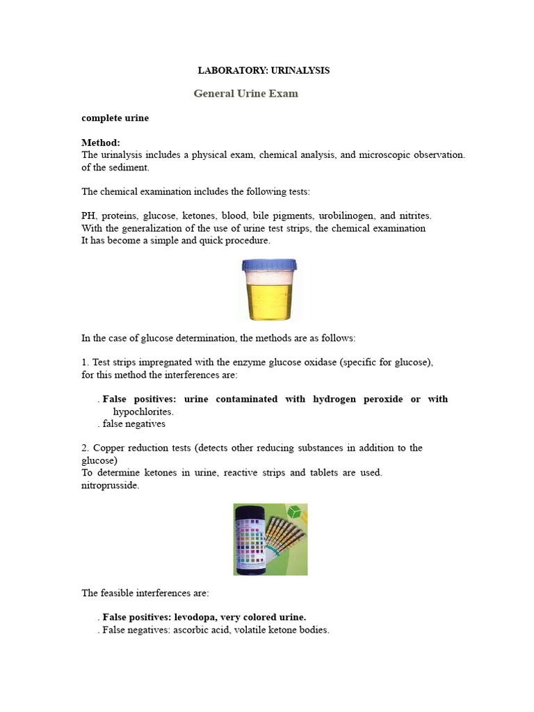 Urine Laboratory | PDF | Kidney | Urine