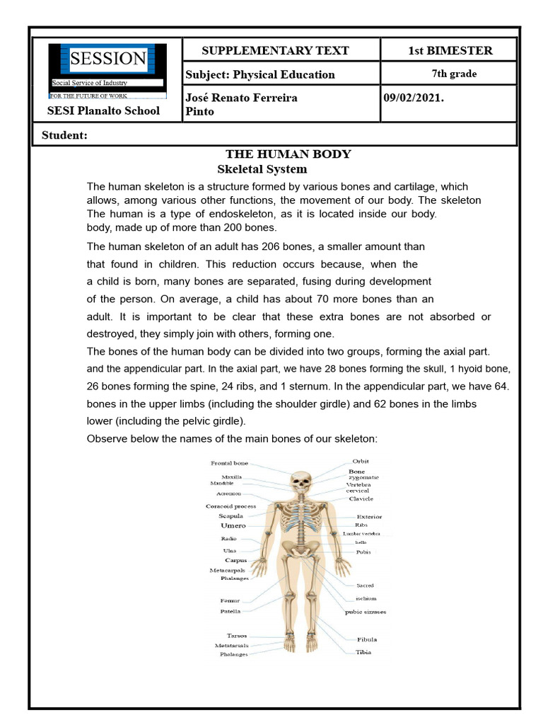 Supplementary Text - The Human Body Skeletal System 09022021 - 7th ...